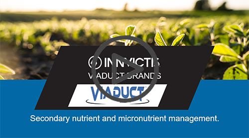 Innvictis Technologies